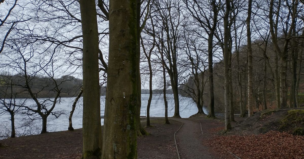 Hadfield to Glossop linear - Ramblers